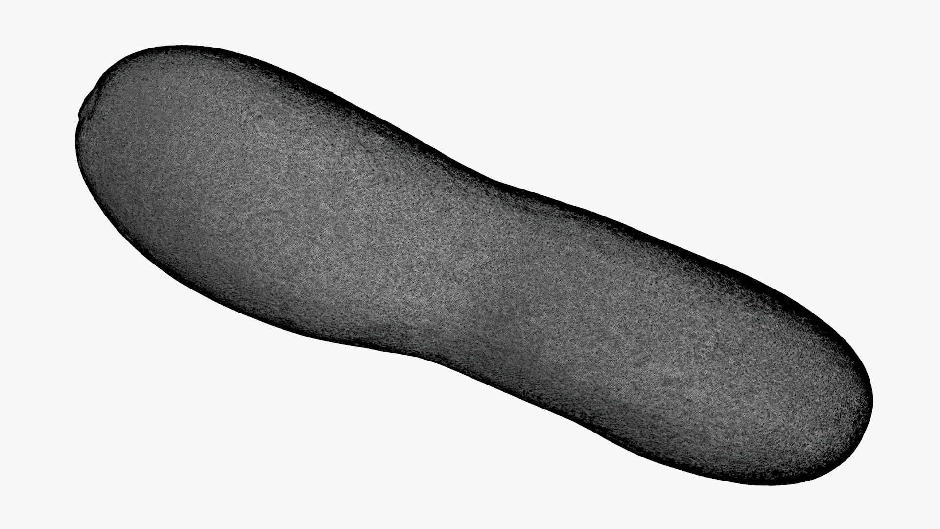 Cucumber 01 For 3D Print 3D Model - TurboSquid 2369825