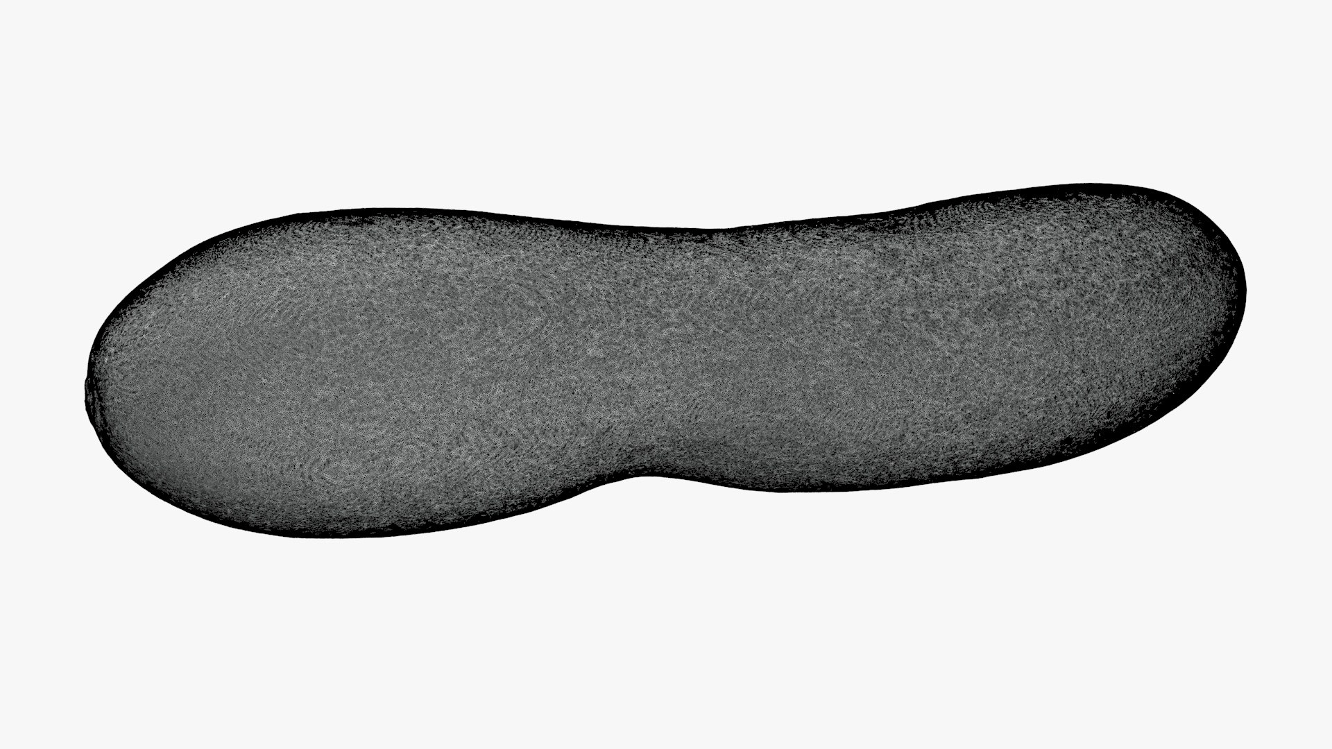 Cucumber 01 For 3D Print 3D Model - TurboSquid 2369825