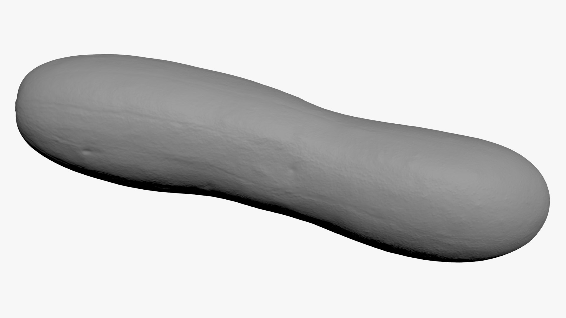 Cucumber 01 For 3D Print 3D Model - TurboSquid 2369825