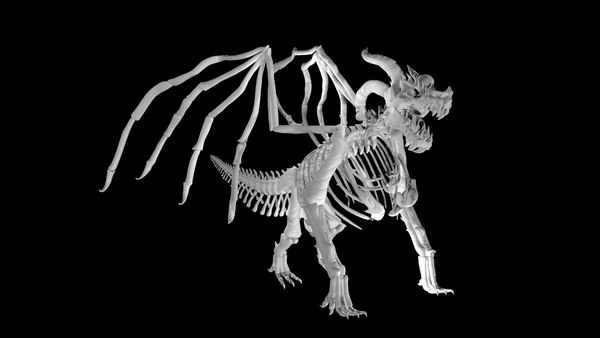 3D Dragon skeleton - TurboSquid 1888789