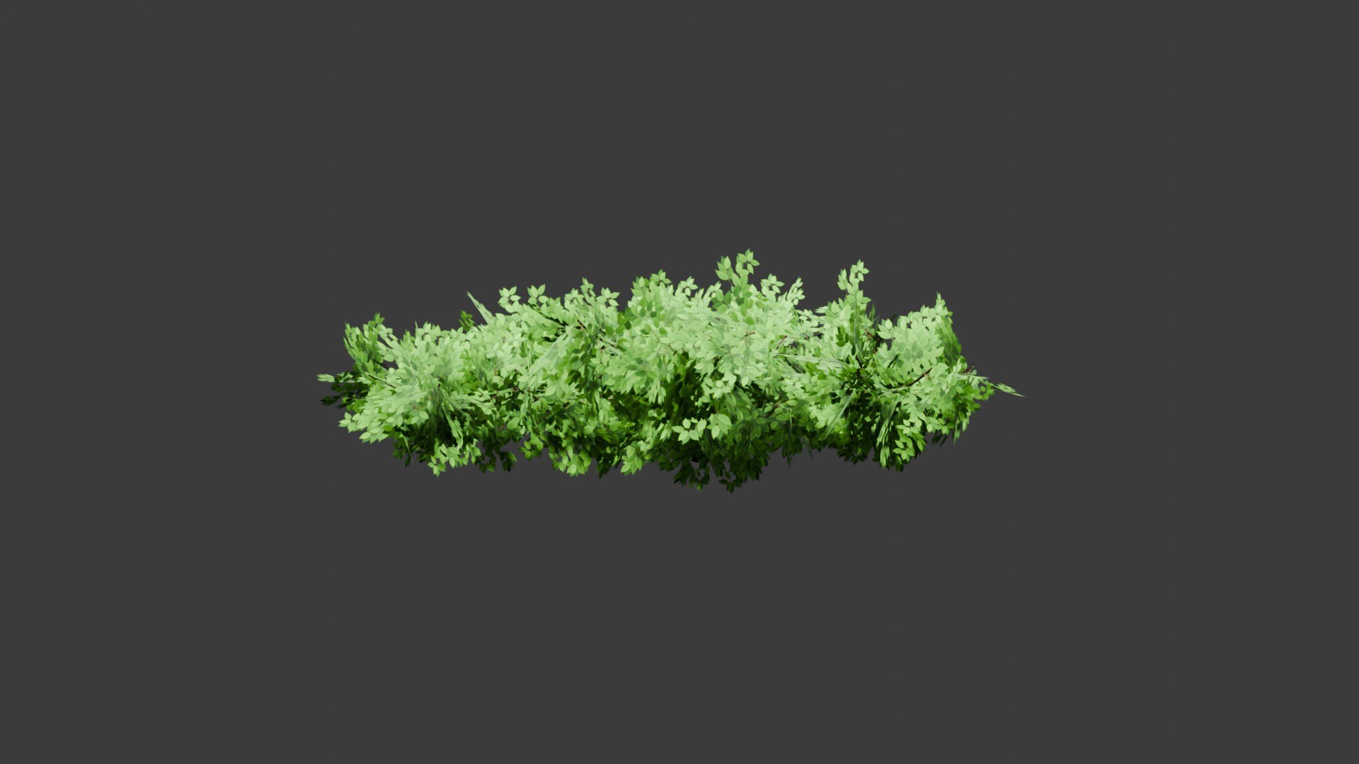 3D Model Litle Bush Simple With Branch - TurboSquid 2190354