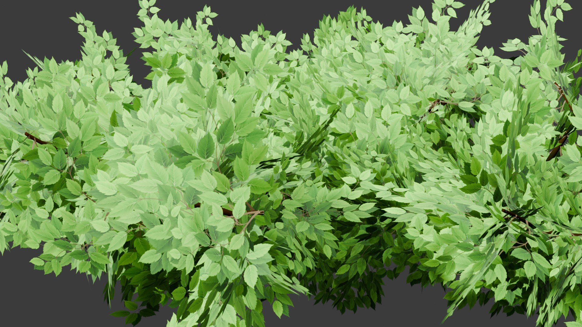 3D Model Litle Bush Simple With Branch - TurboSquid 2190354
