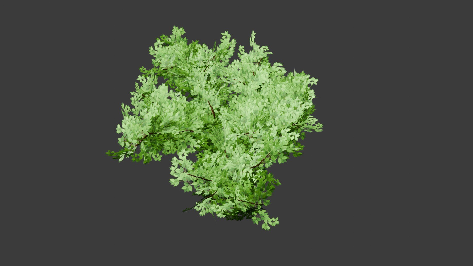 3D Model Litle Bush Simple With Branch - TurboSquid 2190354
