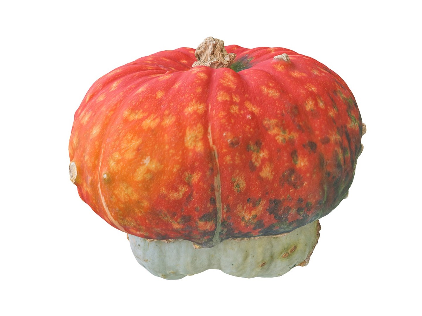 3d Model Magic Mushroom Pumpkin