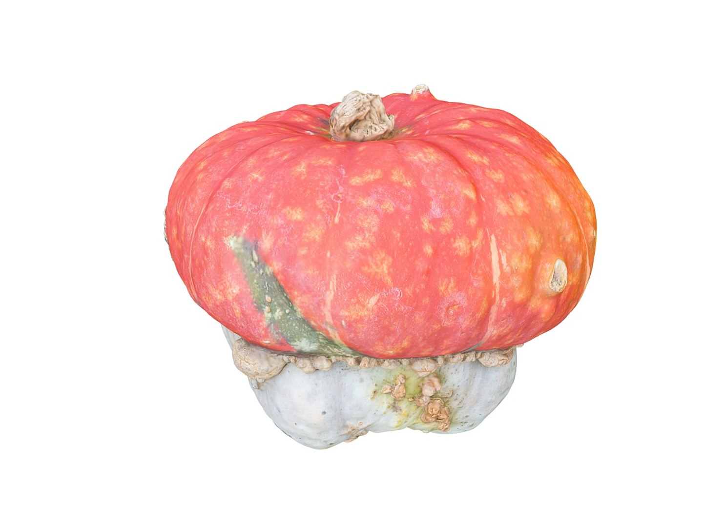 3d Model Magic Mushroom Pumpkin