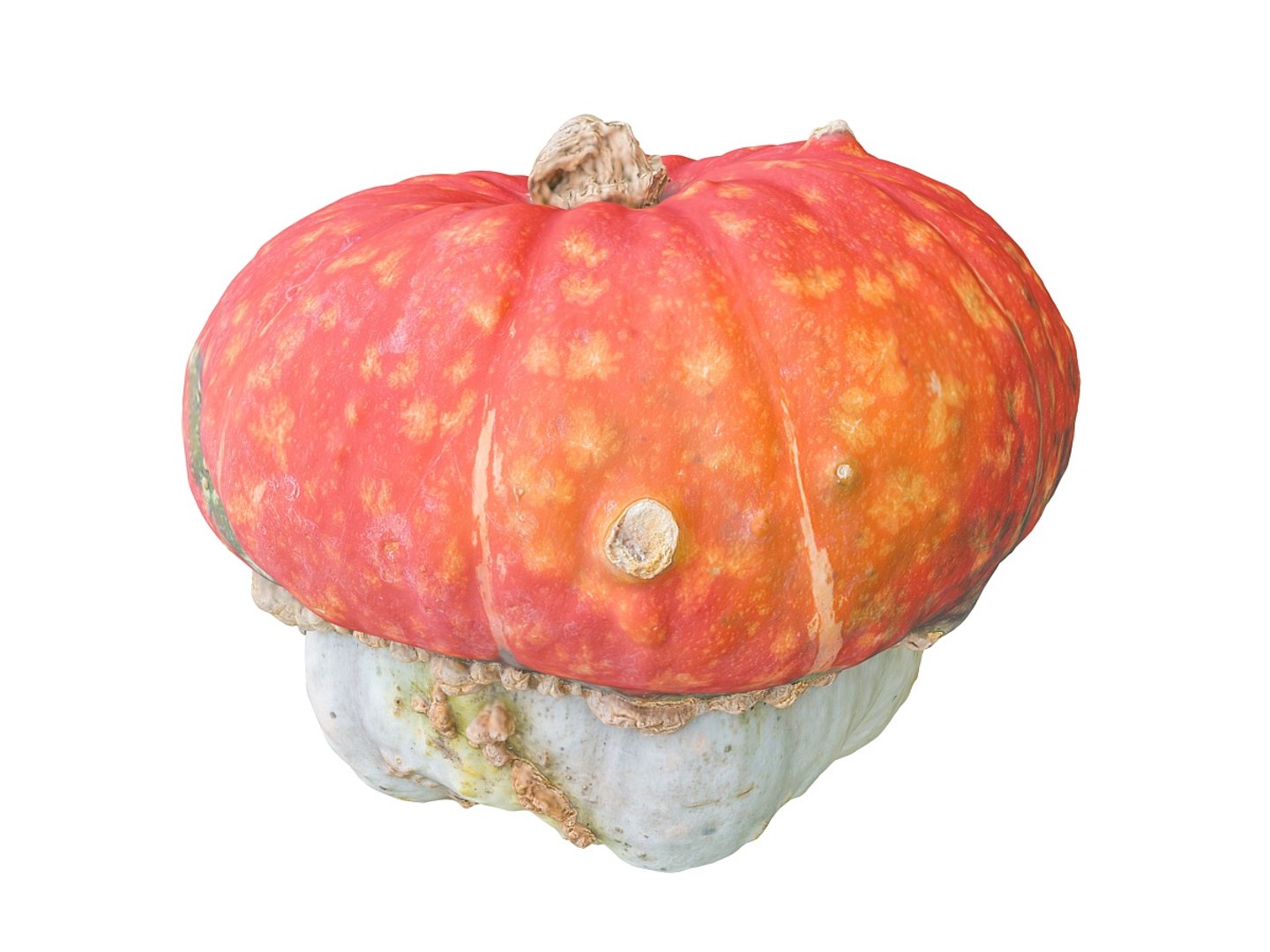 3d Model Magic Mushroom Pumpkin
