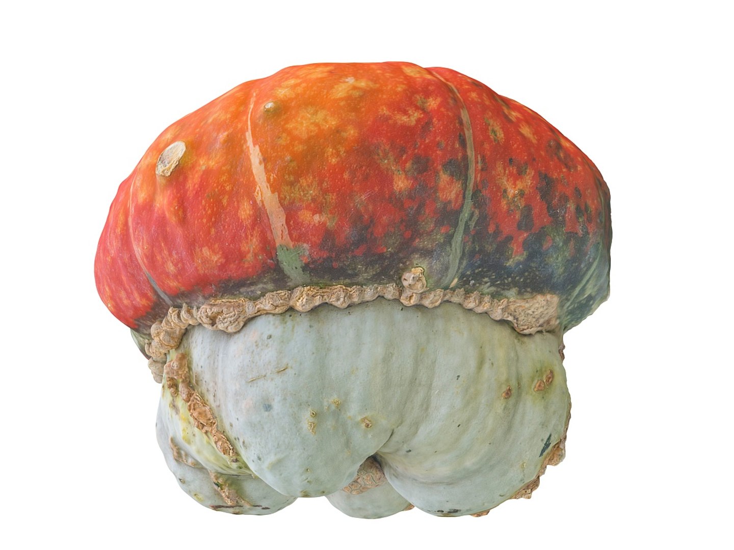 3d Model Magic Mushroom Pumpkin