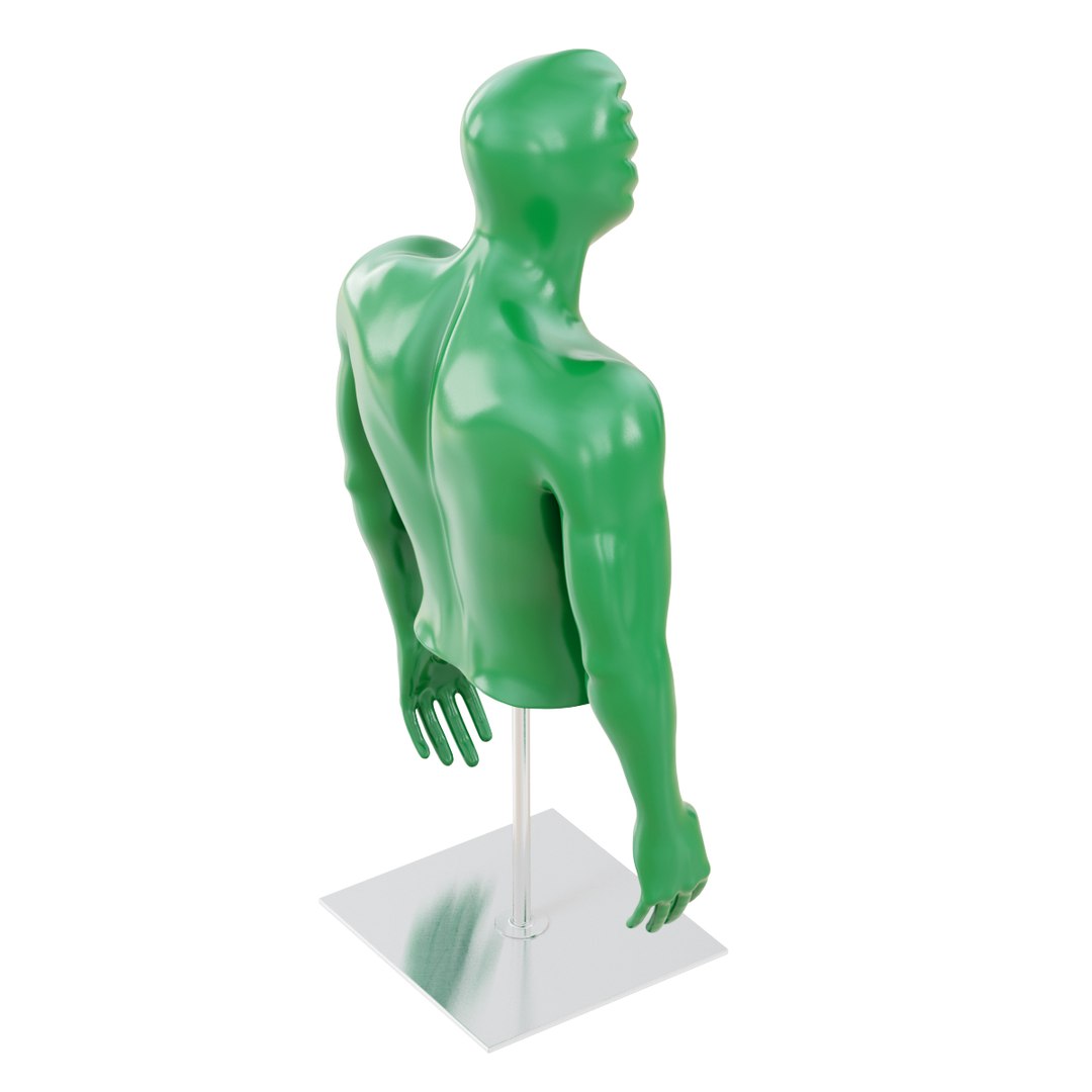 Fitness Mannequin Torso 169 3D Model - TurboSquid 1875612
