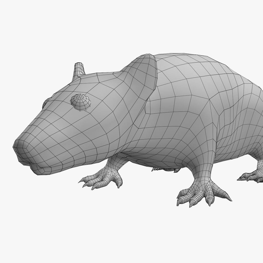 3d Model Rat Rigged Animation