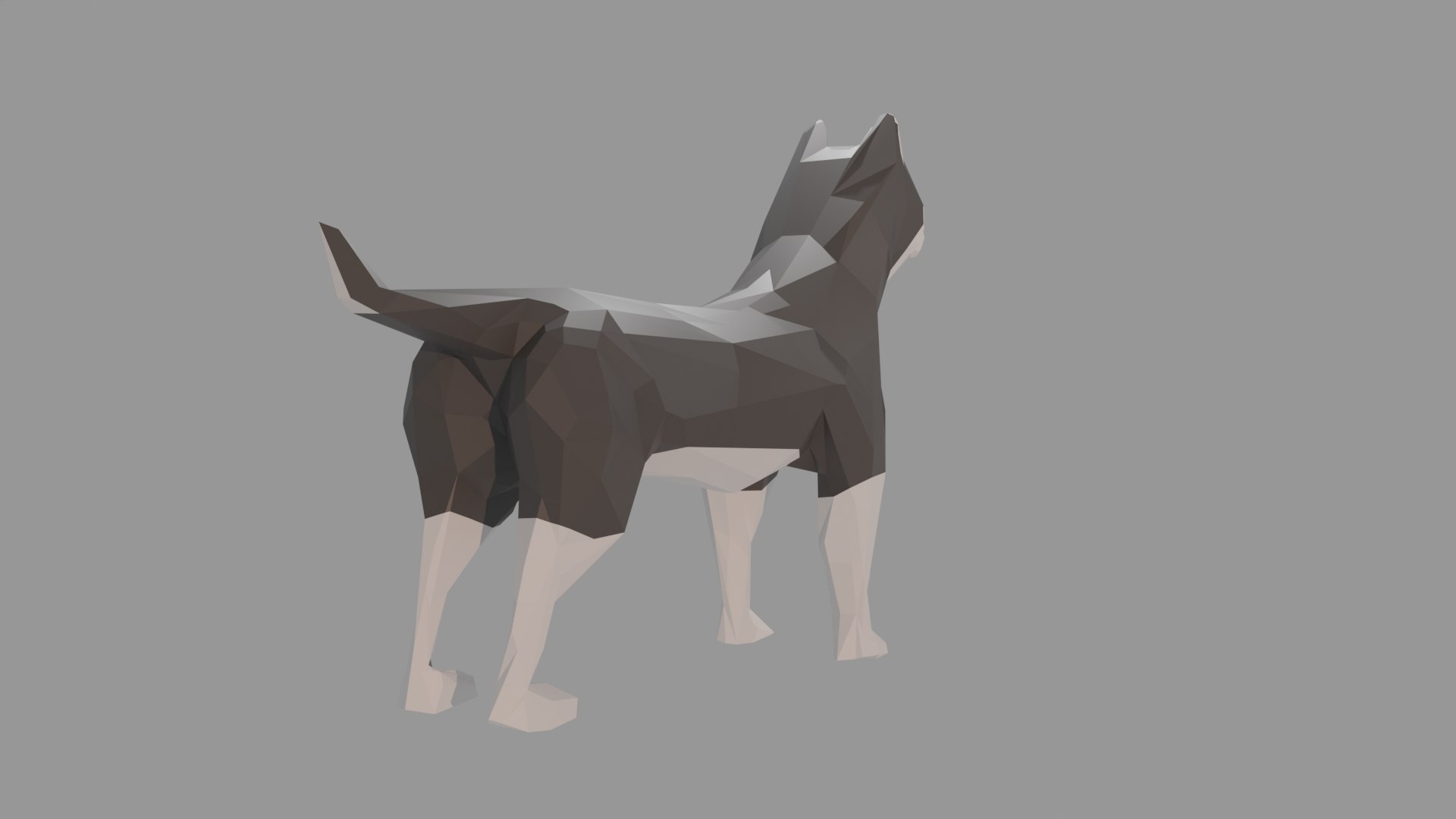 Low Poly Husky Dog Rigged Model - TurboSquid 2091242