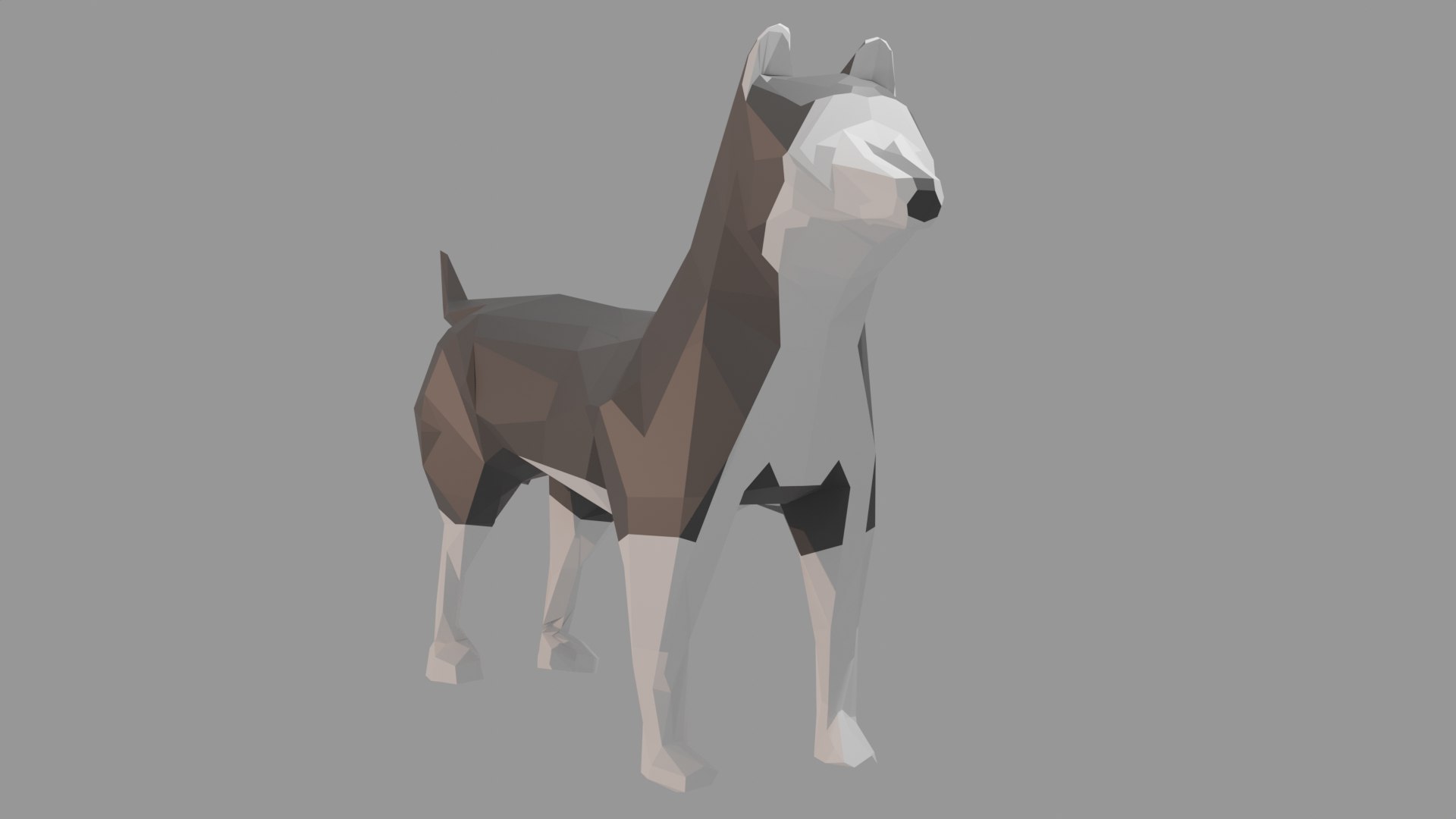 Low Poly Husky Dog Rigged Model - TurboSquid 2091242