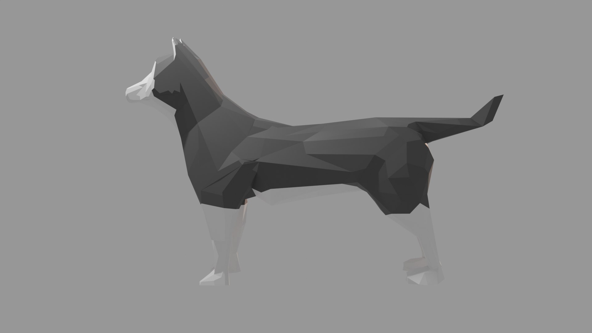 Low Poly Husky Dog Rigged Model - TurboSquid 2091242