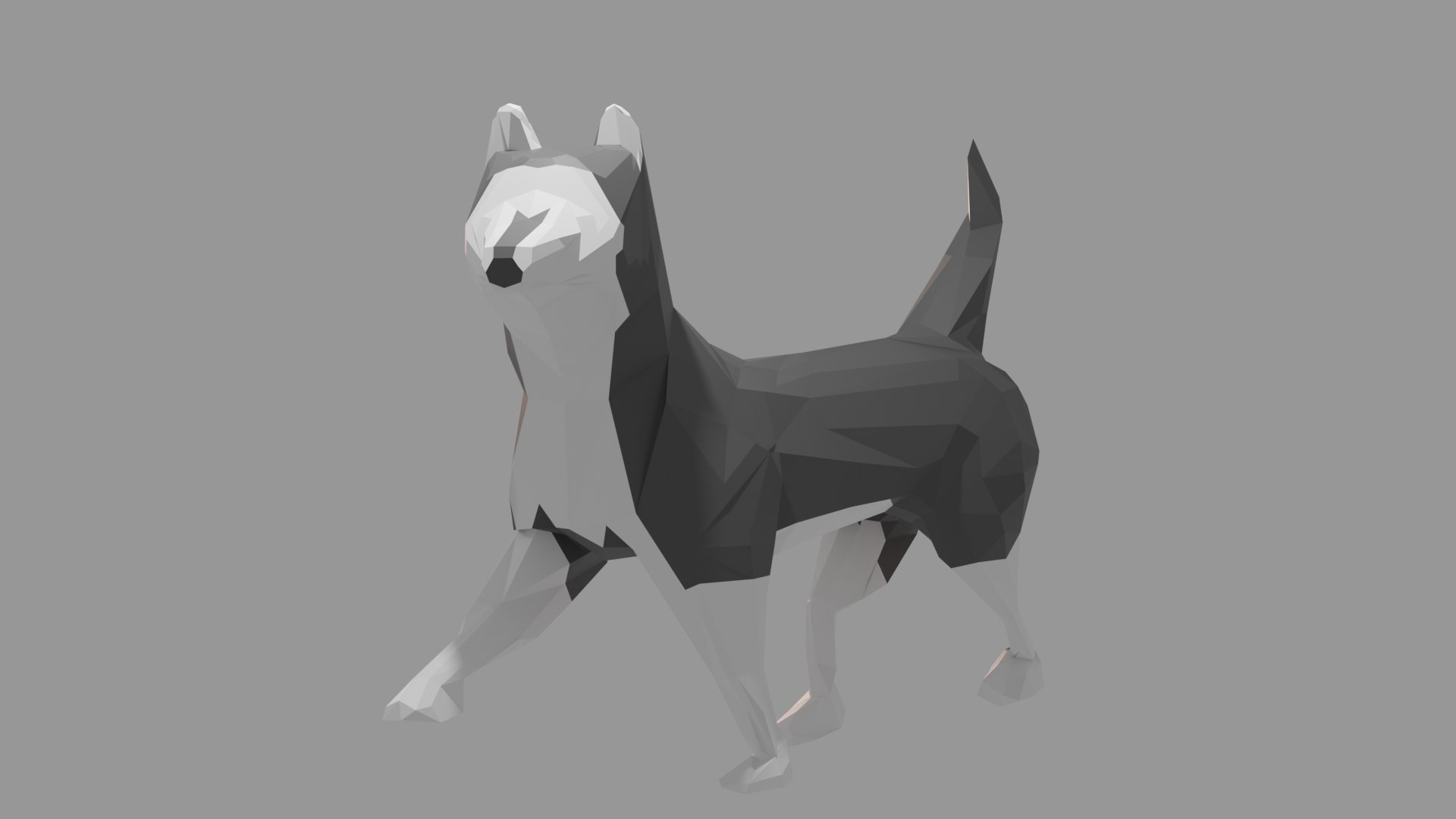 Low Poly Husky Dog Rigged Model - TurboSquid 2091242