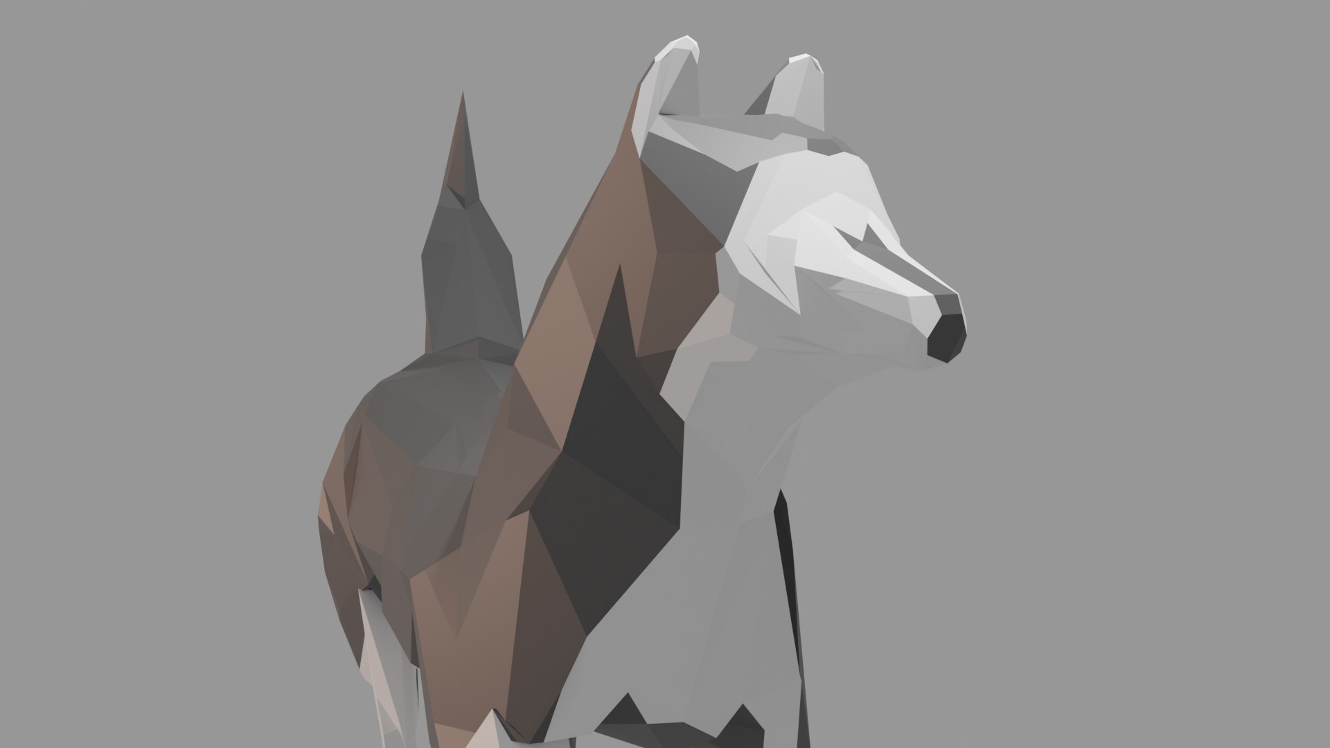 Low Poly Husky Dog Rigged Model - TurboSquid 2091242