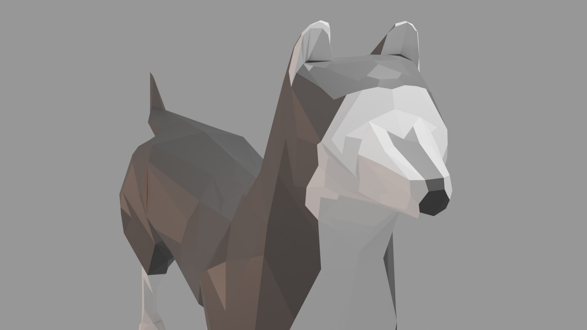 Low Poly Husky Dog Rigged Model - TurboSquid 2091242