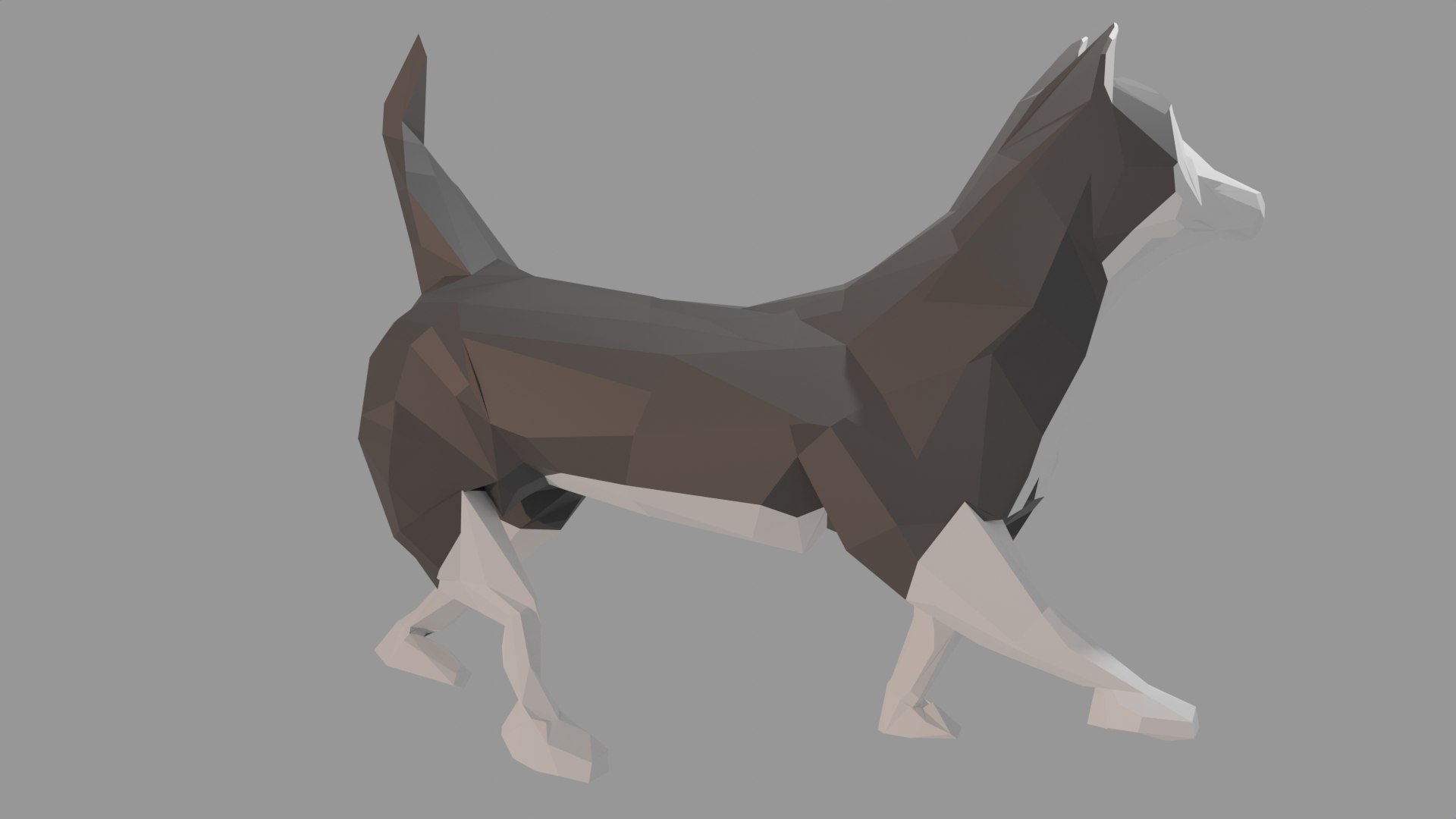 Low Poly Husky Dog Rigged Model - TurboSquid 2091242