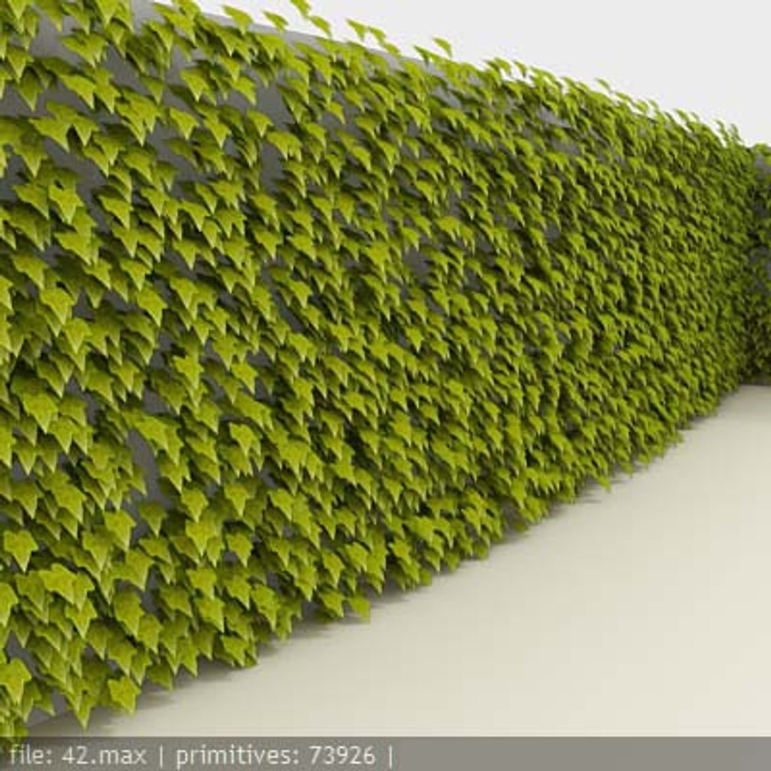 Greenscreen Vine Leaves Max