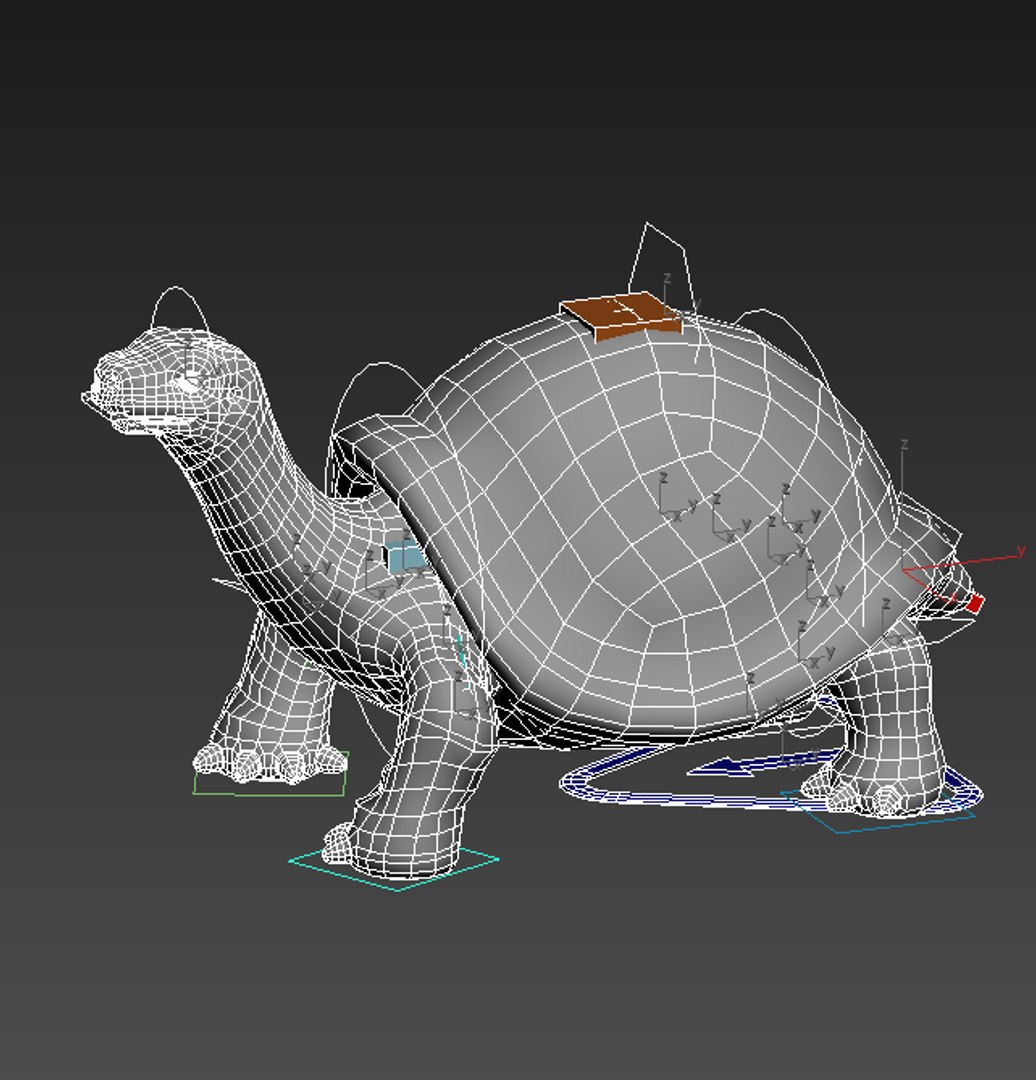 3D Turtle Low-poly - TurboSquid 1463524