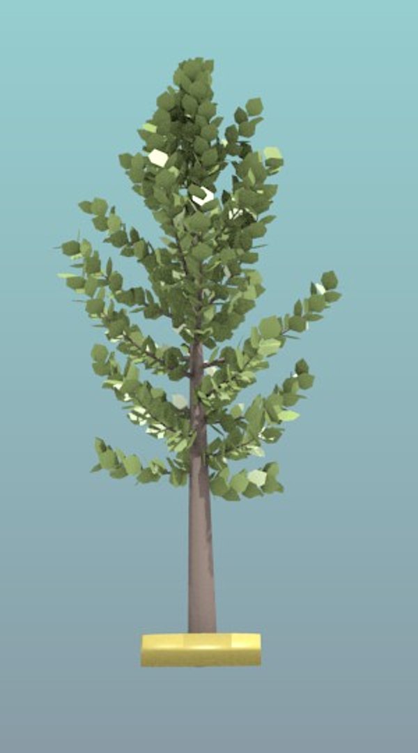 Free tree 3D model - TurboSquid 1358701