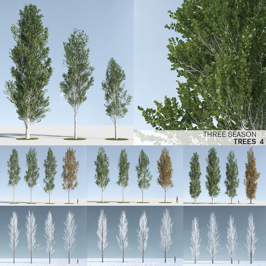 3D Trees 4 Model - TurboSquid 1349219
