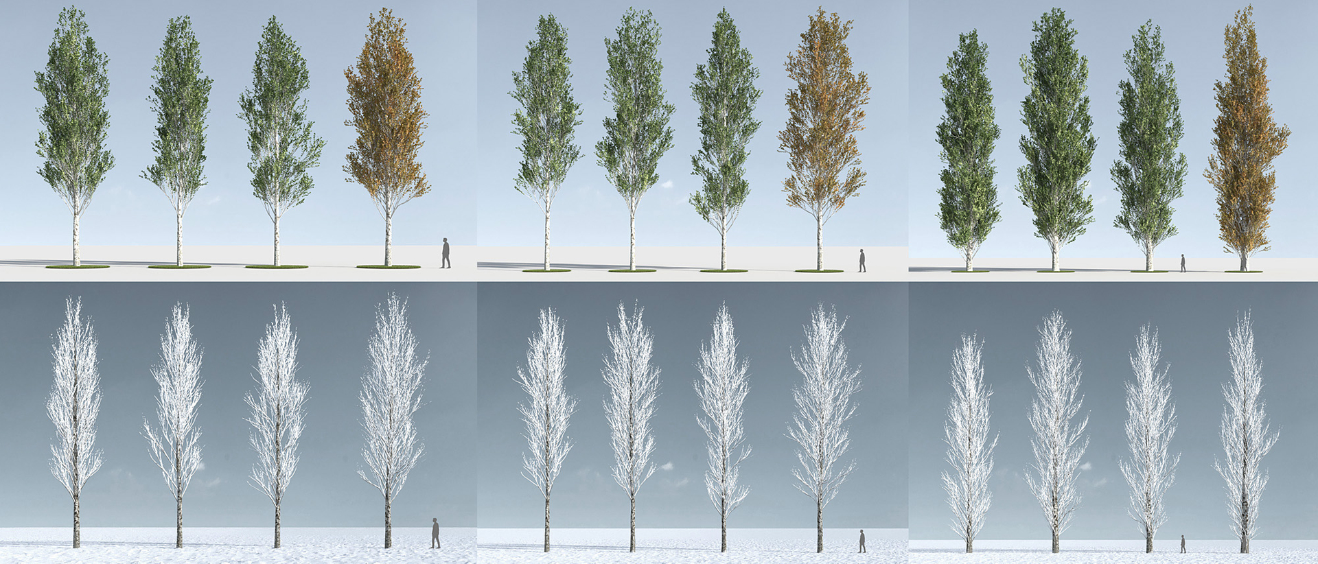 3D trees 4 model - TurboSquid 1349219
