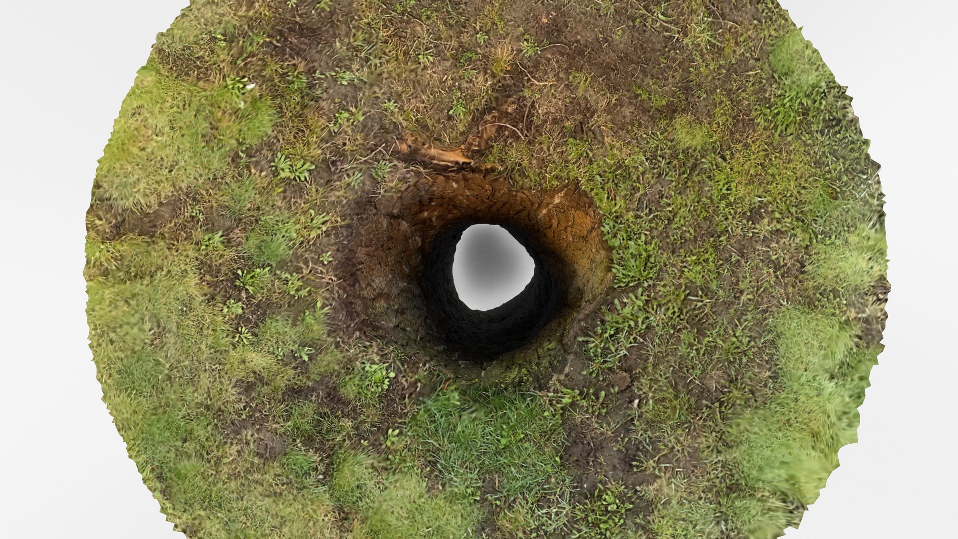 Photorealistic 3D Scan Of Tree Trunk 3D - TurboSquid 2387469