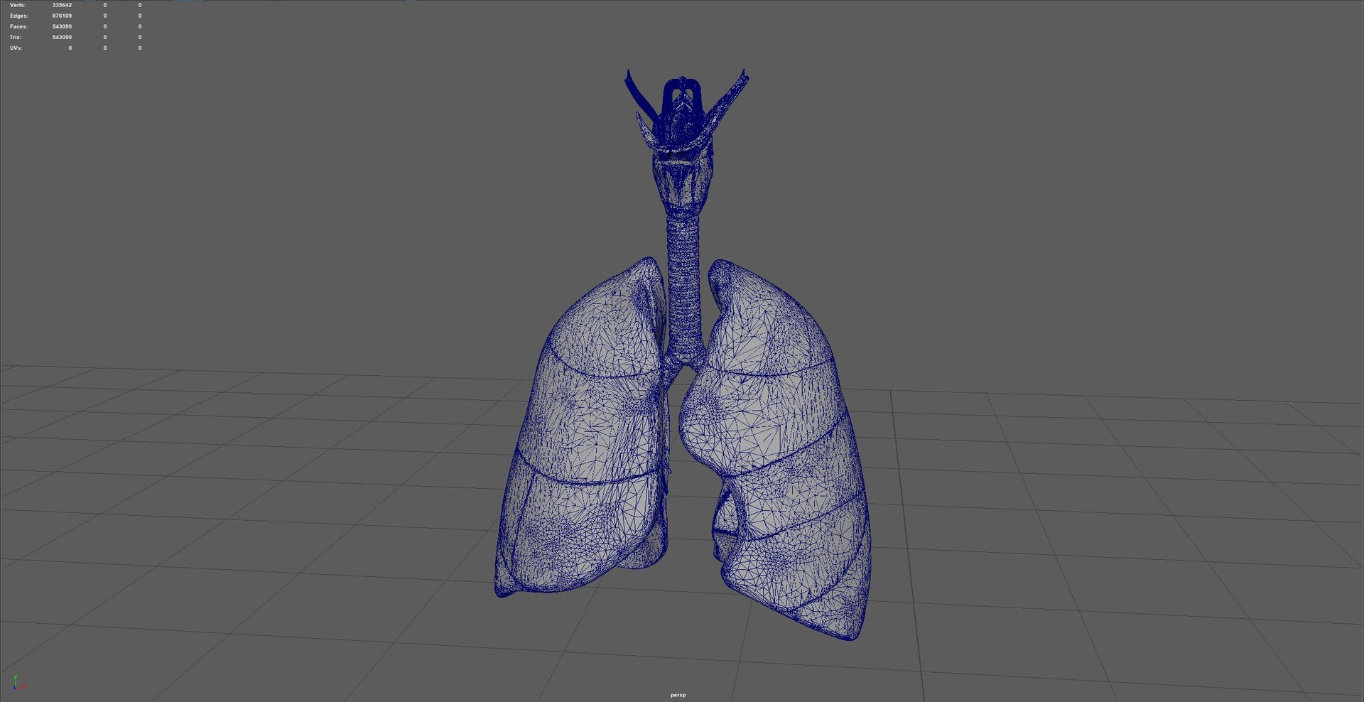 3D Model Lungs - TurboSquid 1834136