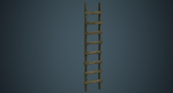 Ladder 2b 3D model - TurboSquid 1446534