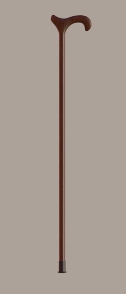 Walking Stick 3D Models for Download | TurboSquid