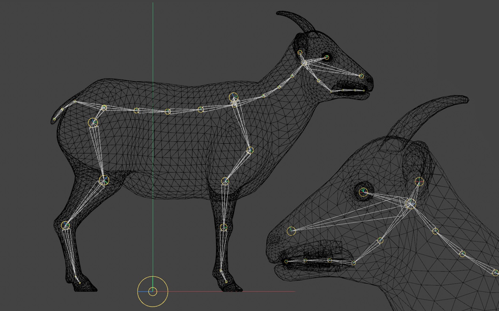 Wild sheep female male Low-poly model - TurboSquid 1860825