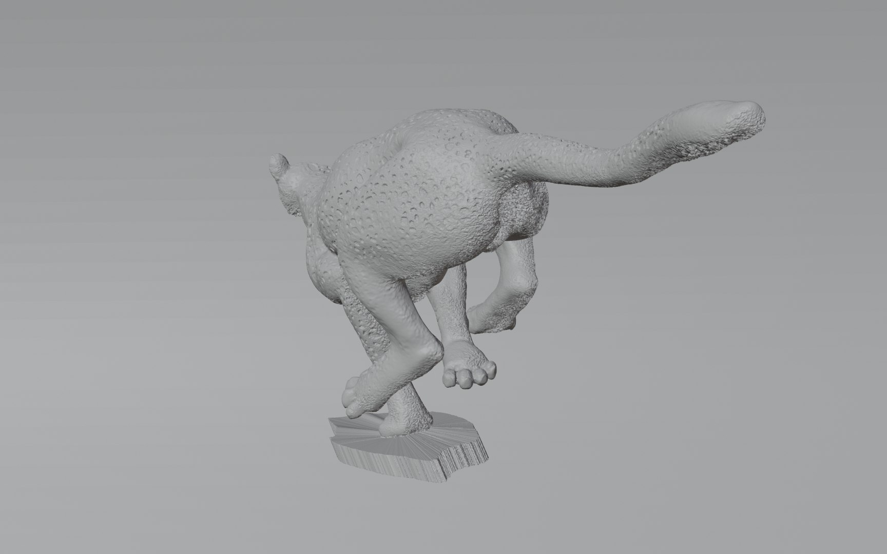 3D Cheetah - TurboSquid 2196159