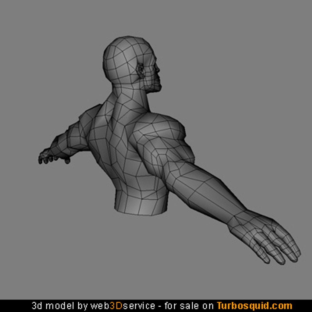 Heroic Male Torso Character 3d Model