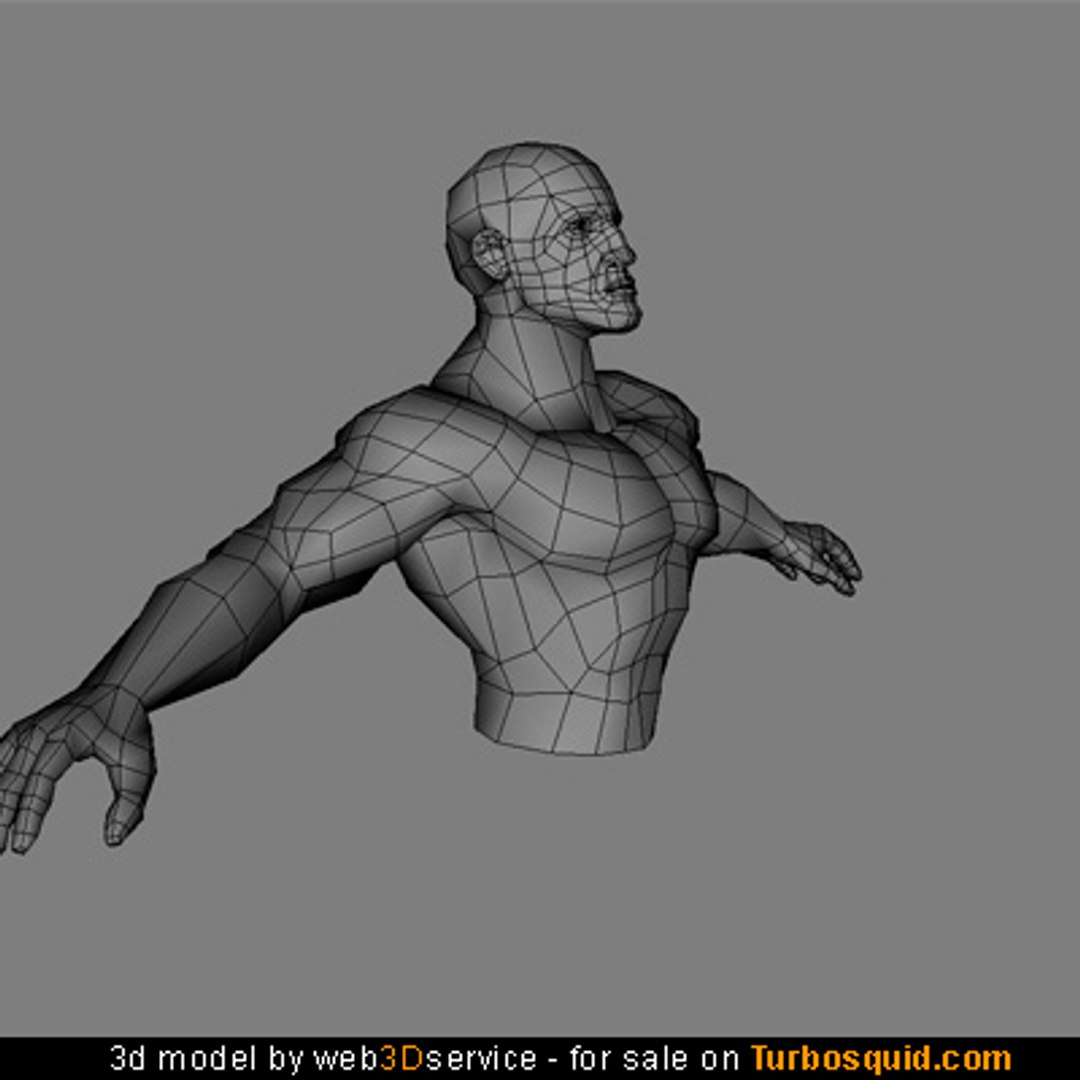 Heroic Male Torso Character 3d Model