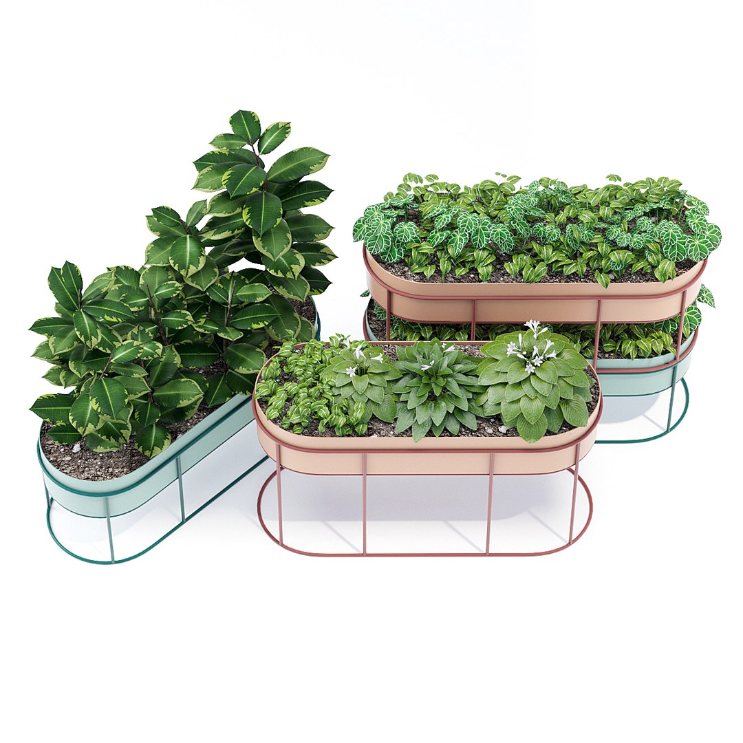 Echo oval pot model - TurboSquid 1386152