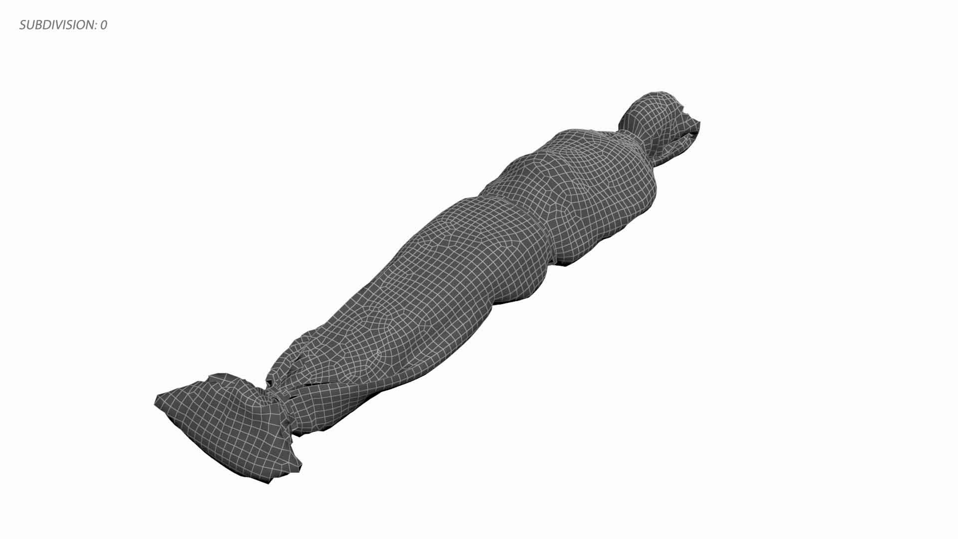 3D Dead Body Covered 2 Model - TurboSquid 2152016