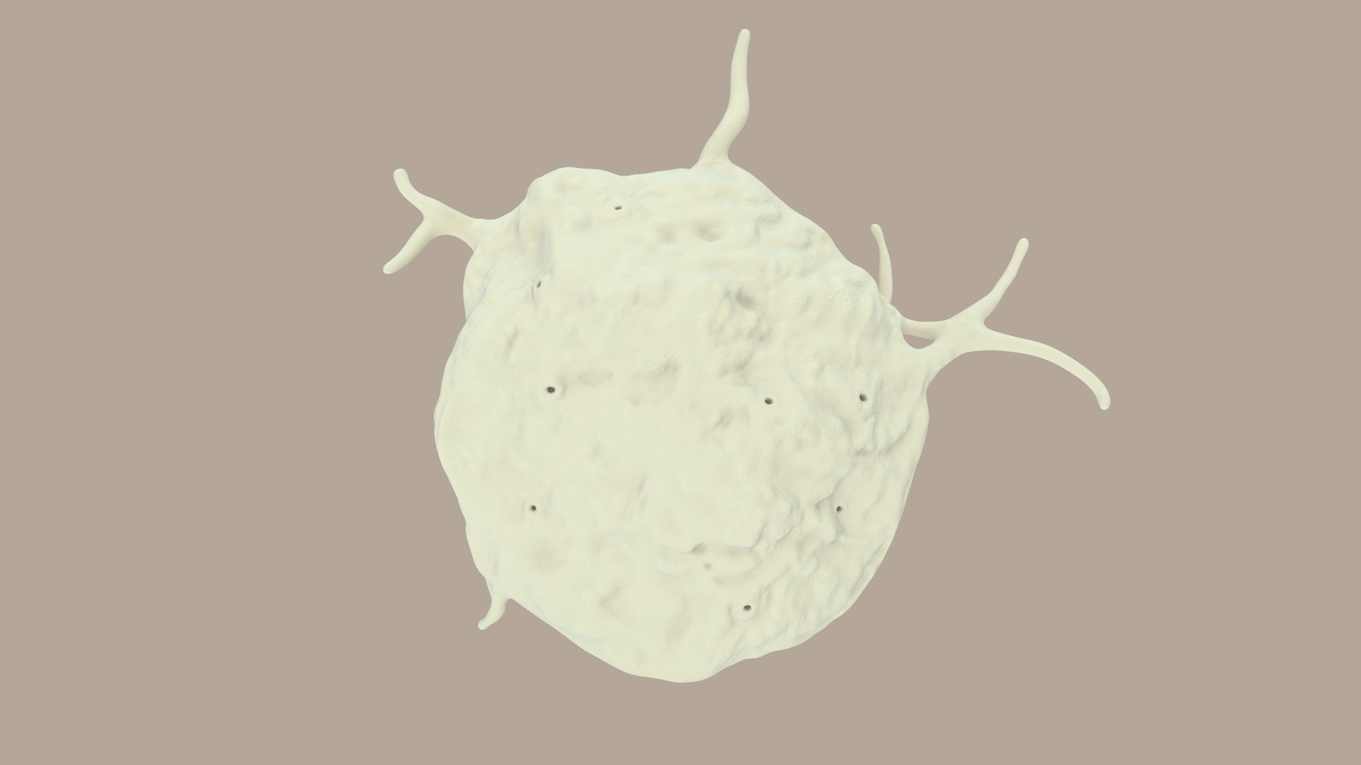 3D platelet blood cell - TurboSquid 1537151