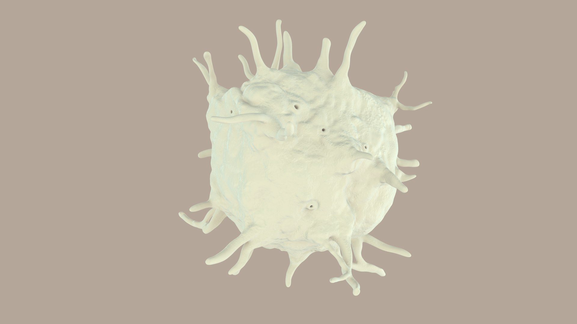 3D platelet blood cell - TurboSquid 1537151