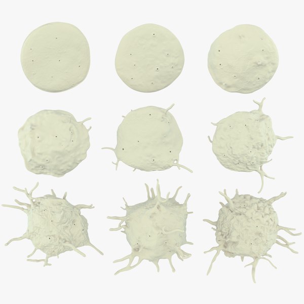 Platelet 3D Models for Download | TurboSquid