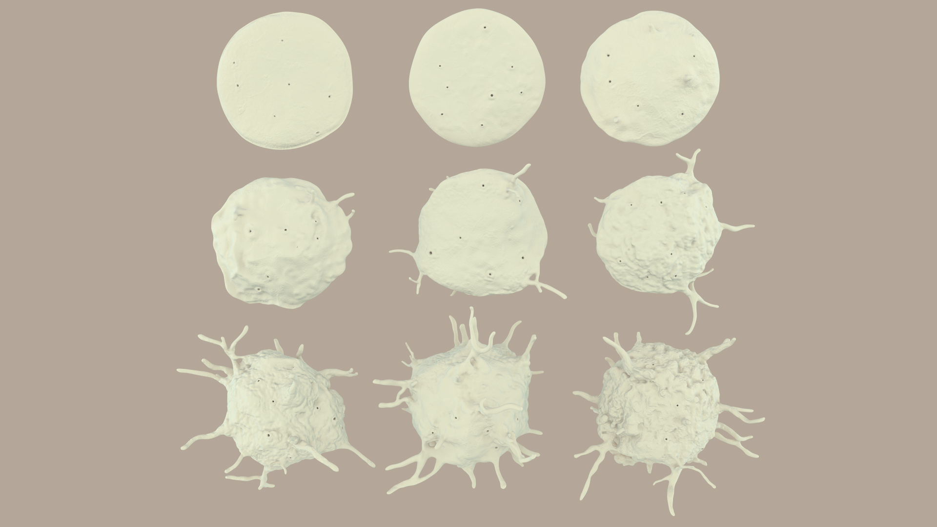3D platelet blood cell - TurboSquid 1537151