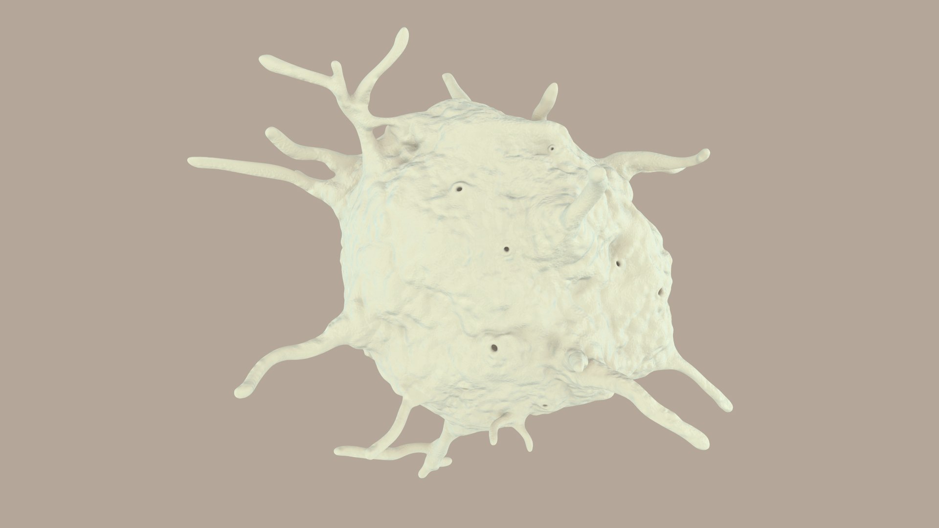 3D platelet blood cell - TurboSquid 1537151