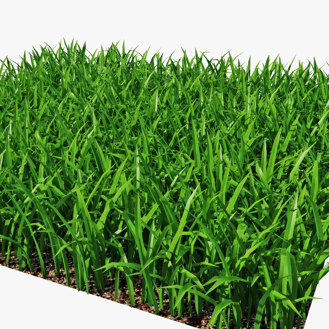 3d Grass