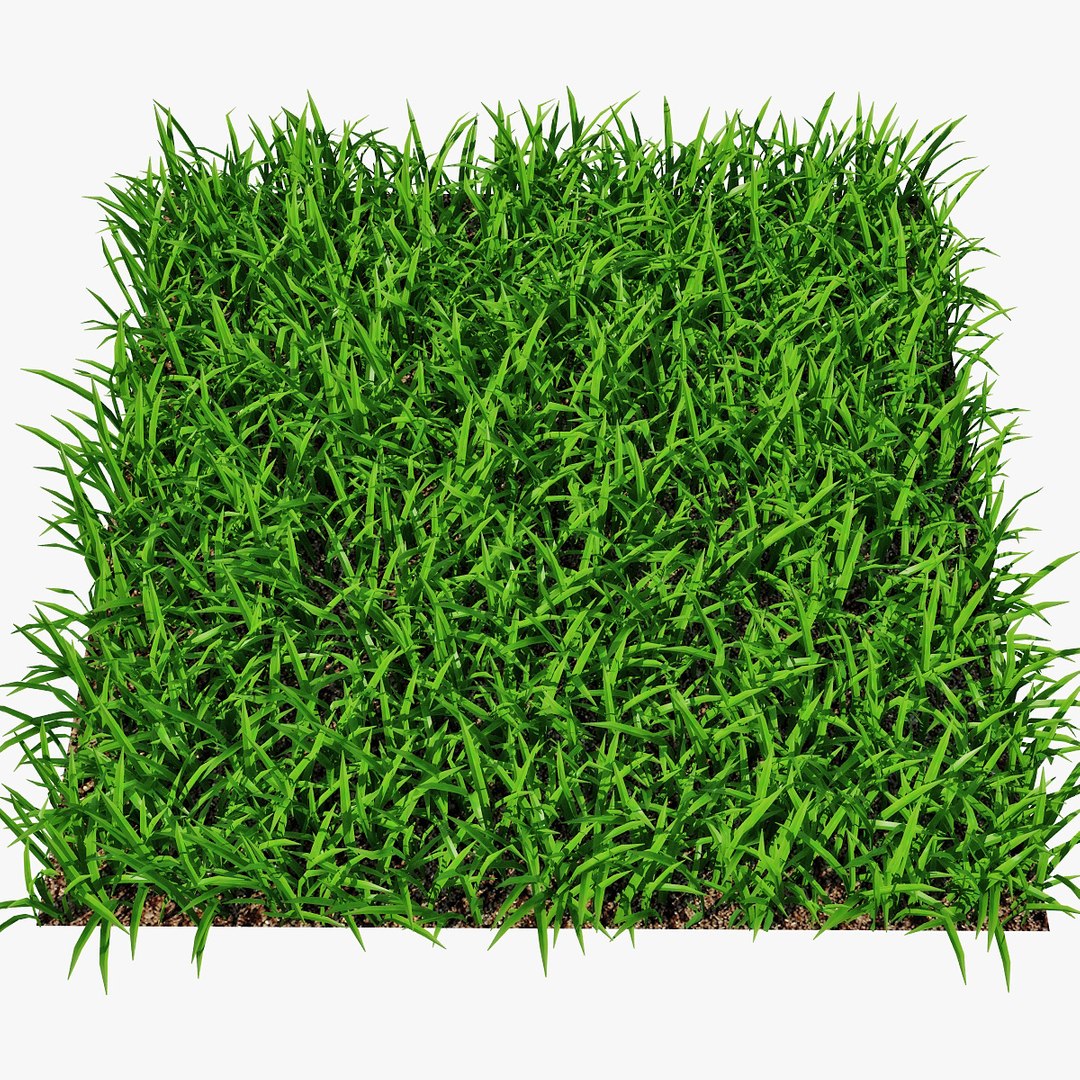 3d Grass