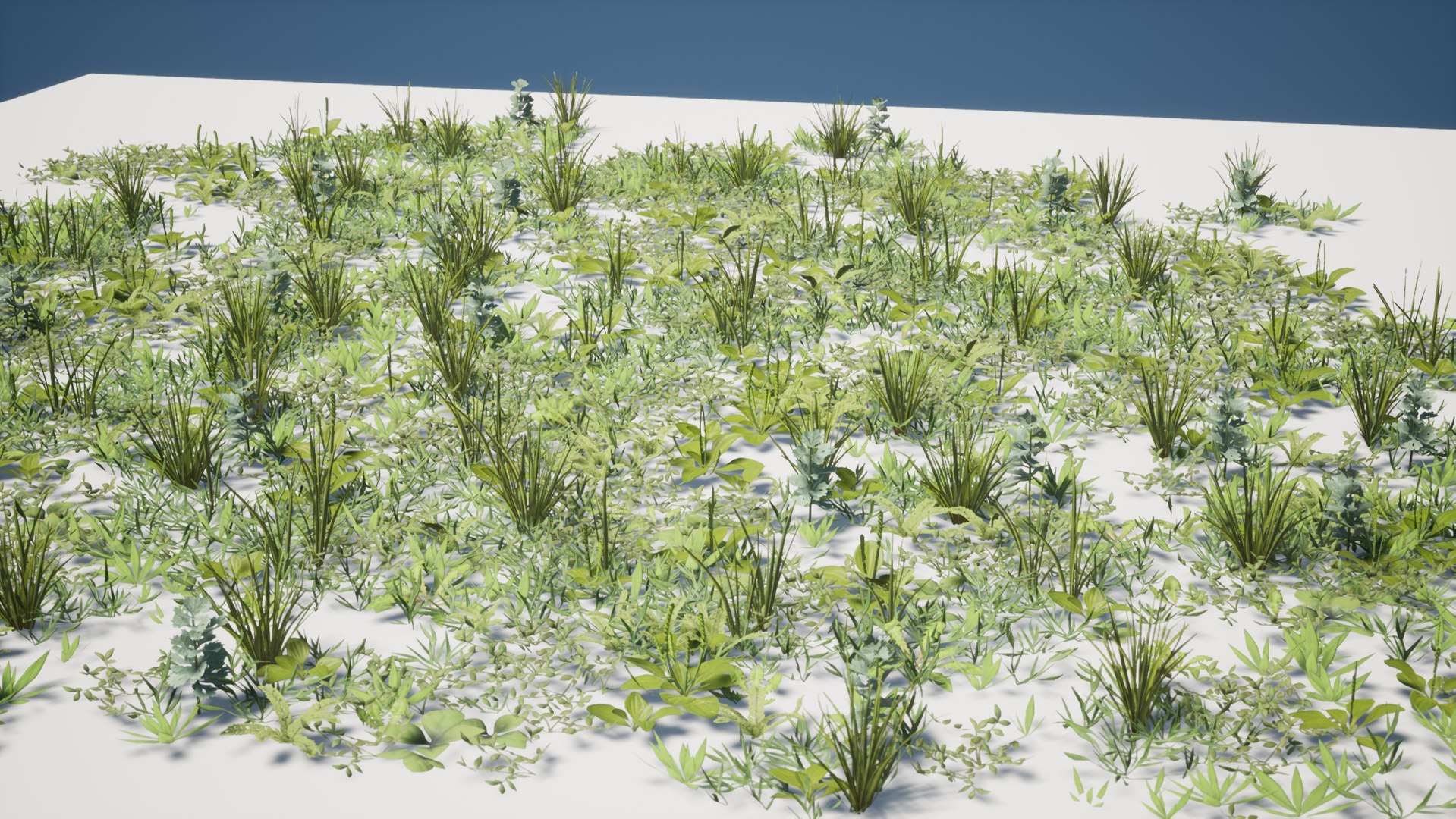 Grass Field Pack 3D model - TurboSquid 1807191