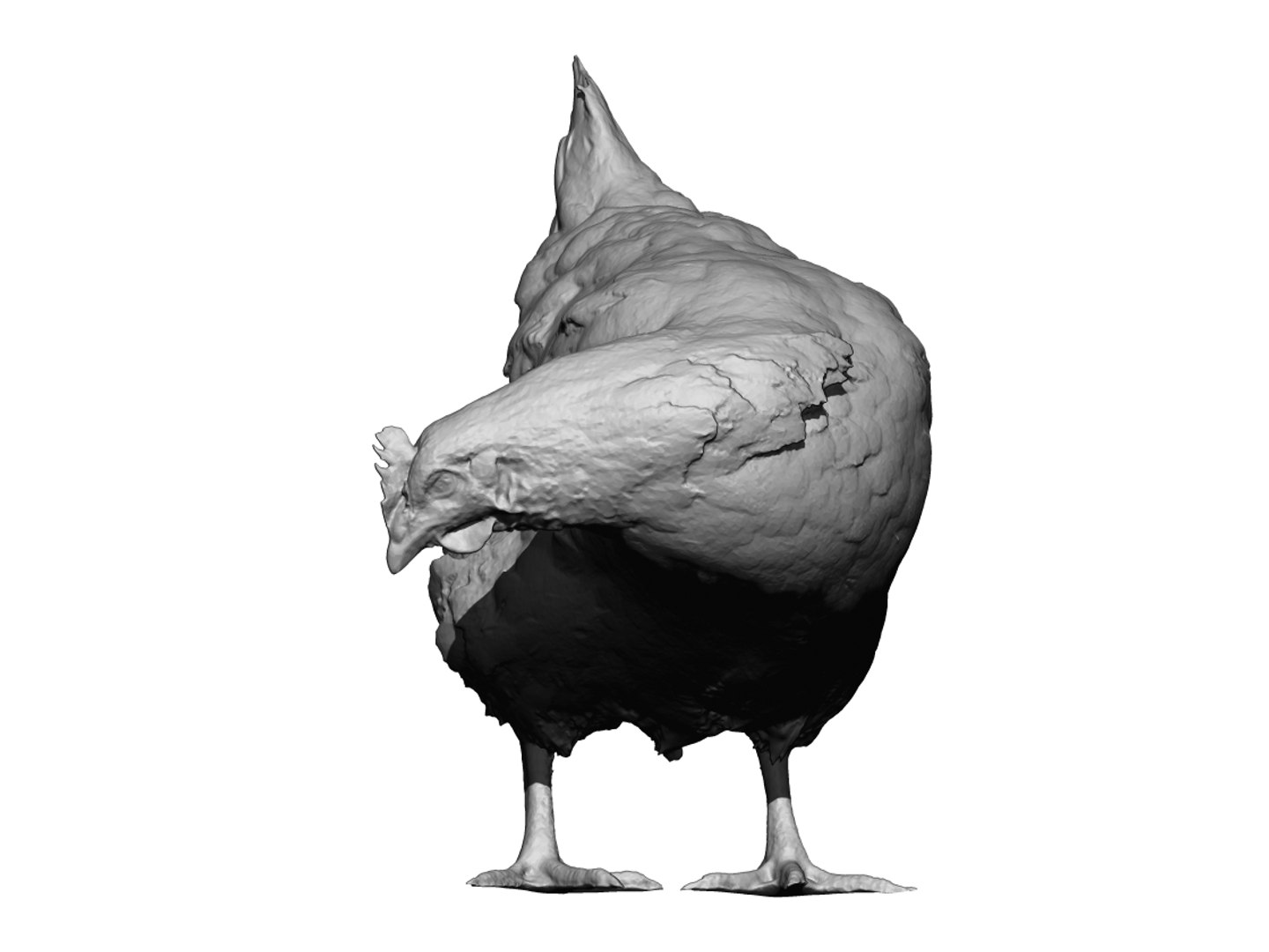 3D Model Real Chicken Scanned - TurboSquid 1387039