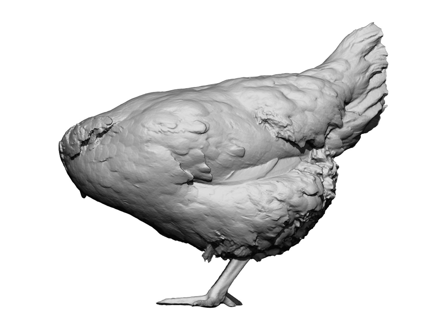 3D Model Real Chicken Scanned - TurboSquid 1387039