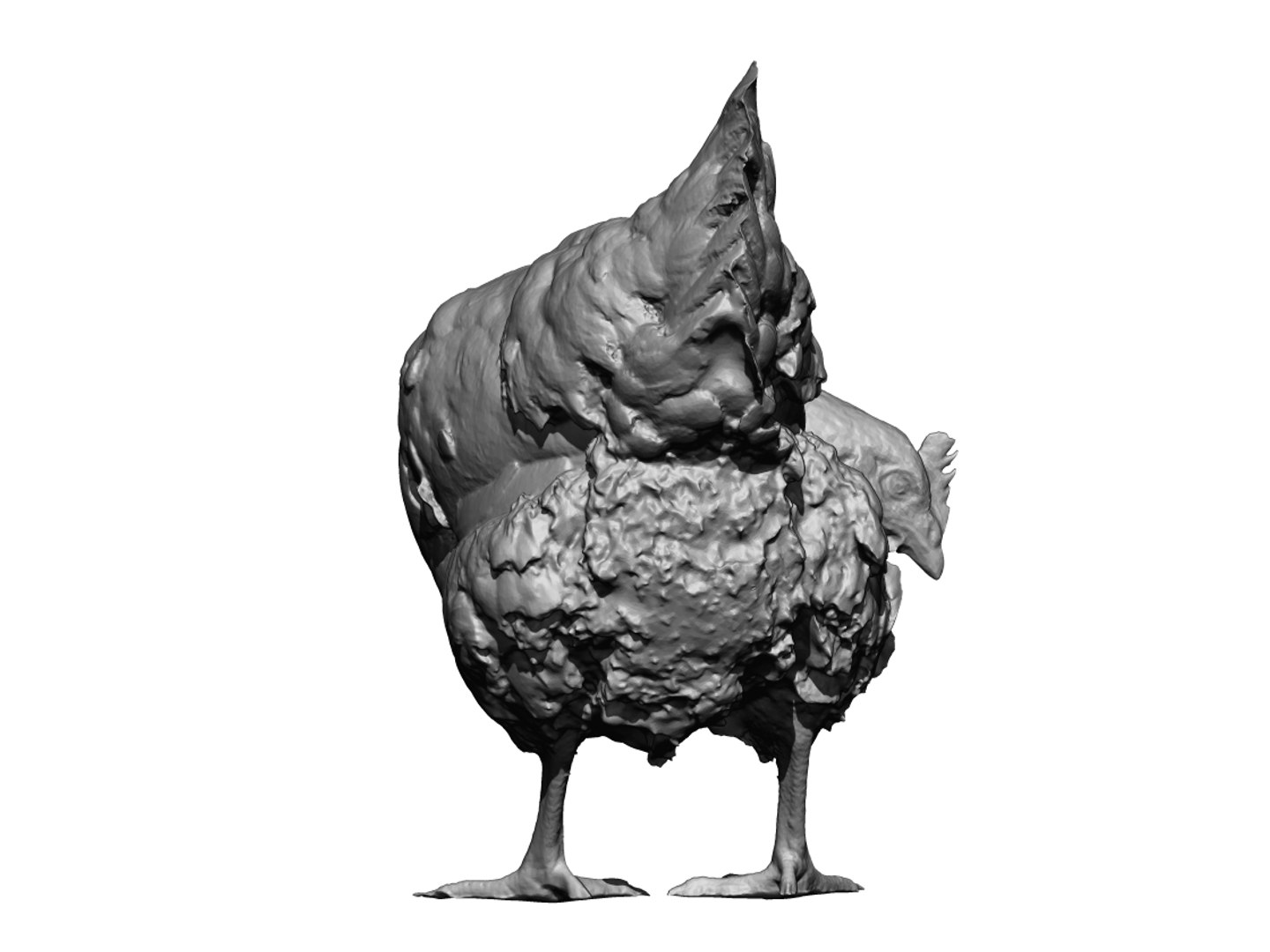 3D Model Real Chicken Scanned - TurboSquid 1387039
