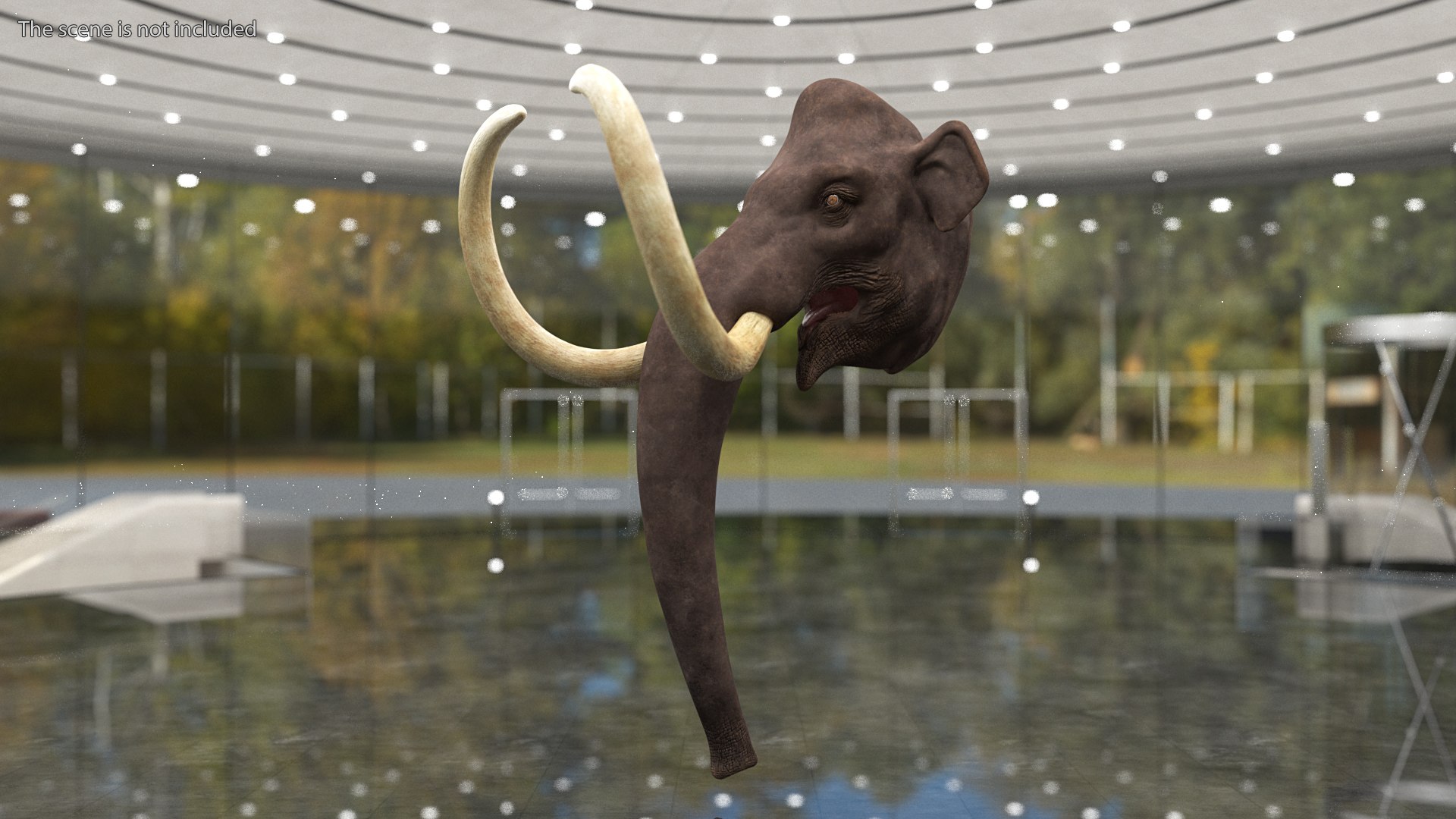 3D Mammoth Adult Head Model - TurboSquid 1803330