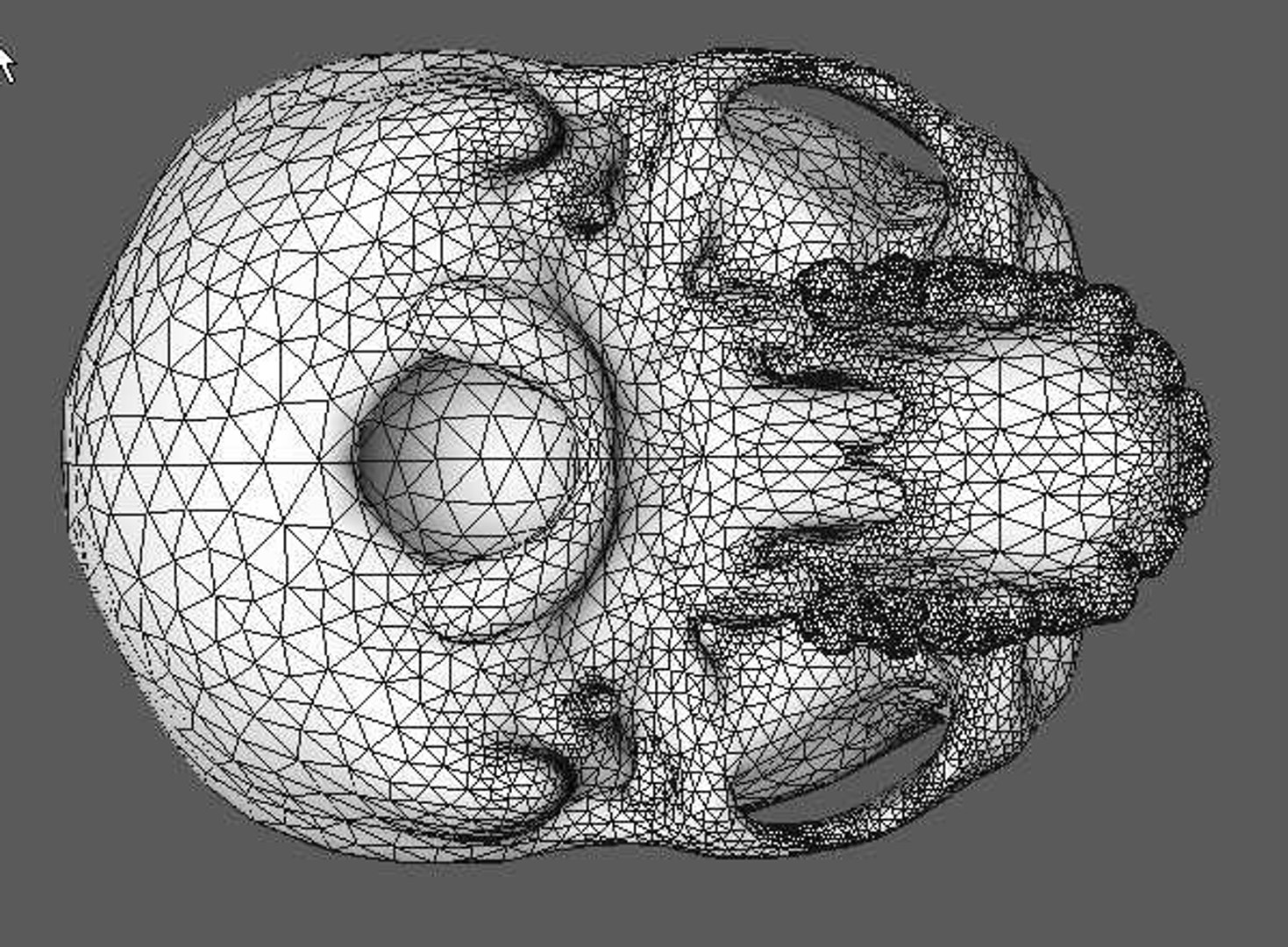 Jawless Skull 3d Model