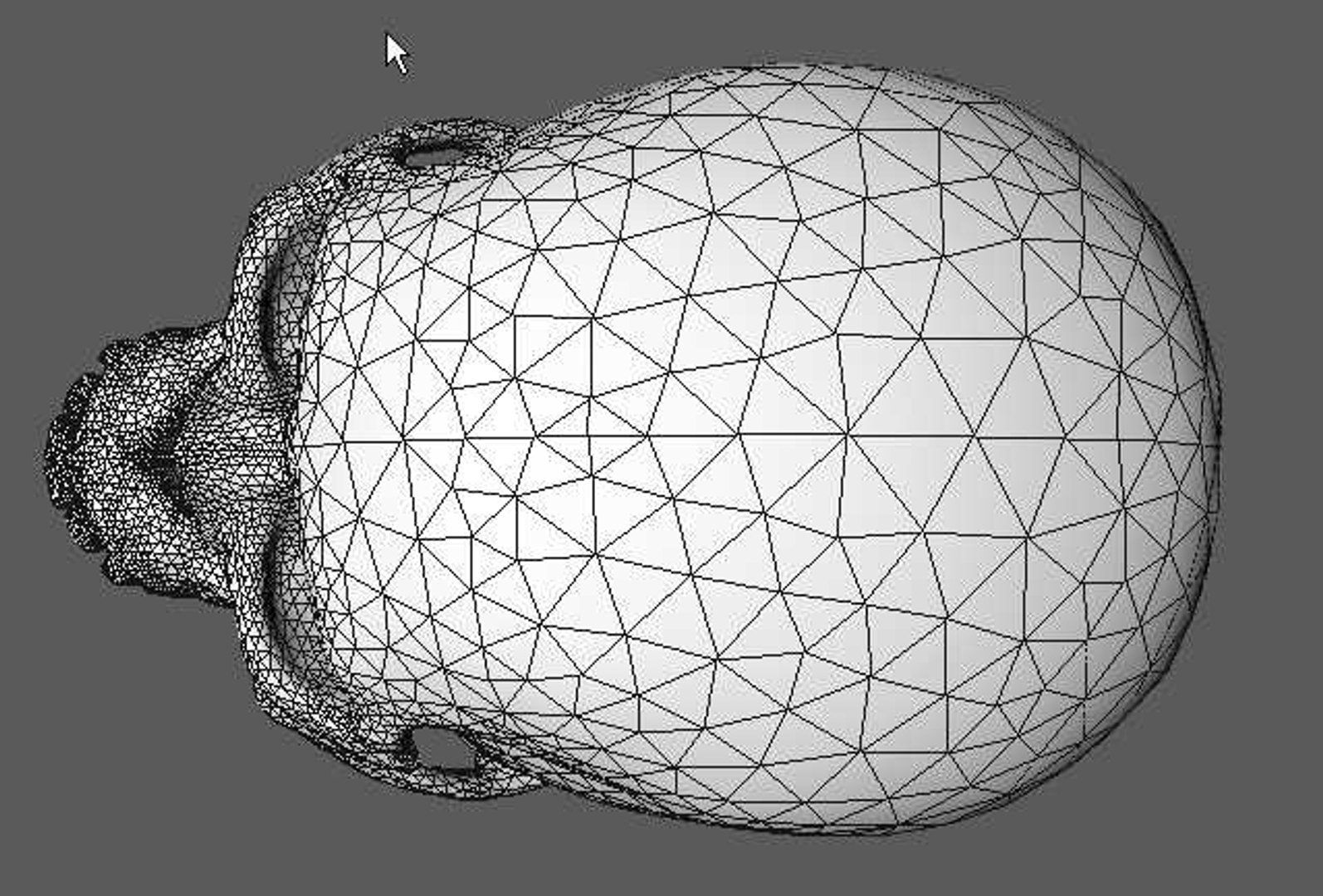 Jawless Skull 3d Model