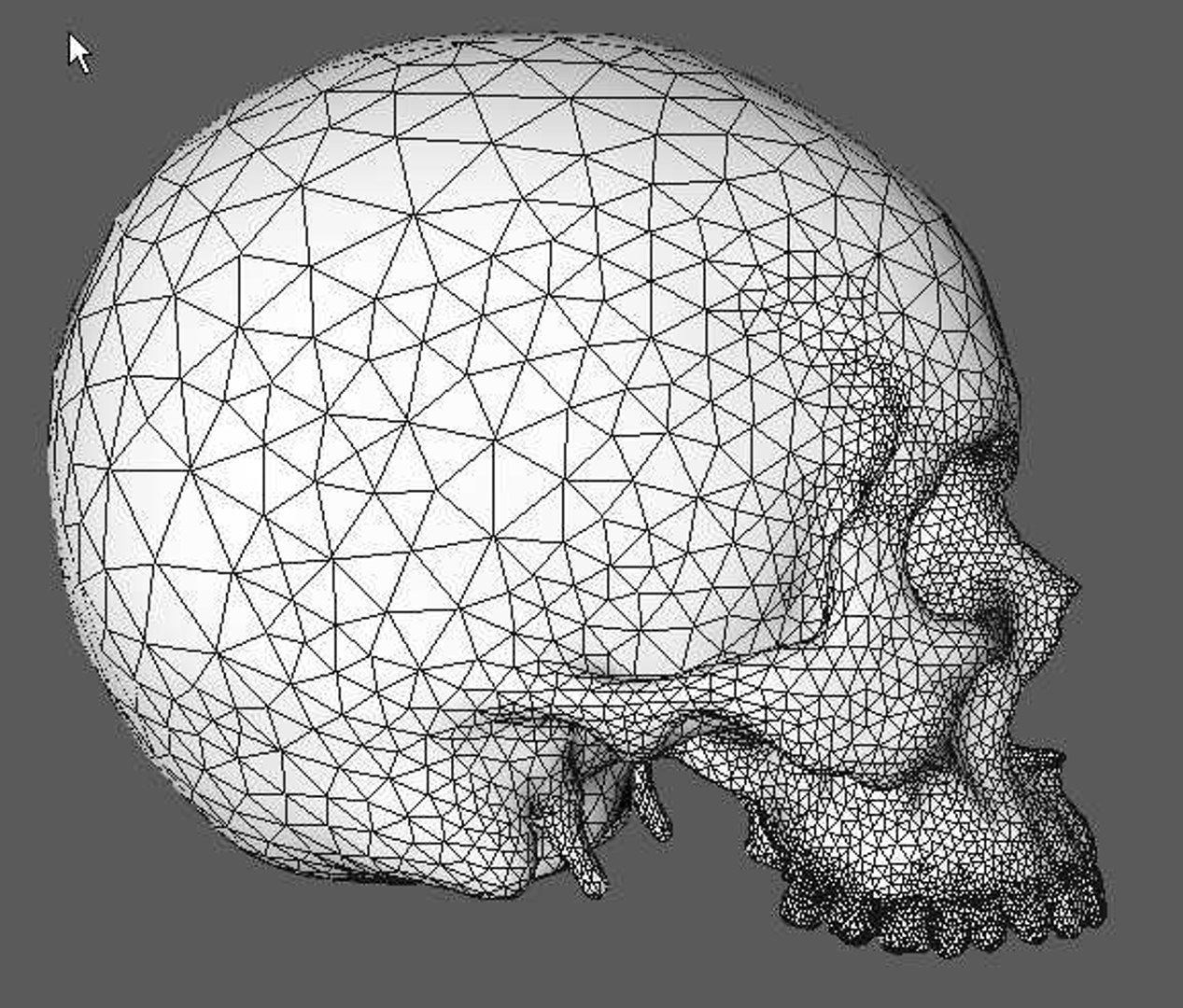 Jawless Skull 3d Model